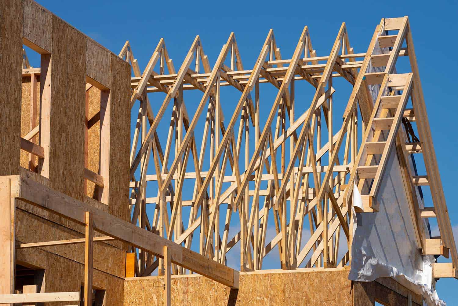 Roofing - Woodwind carpentry